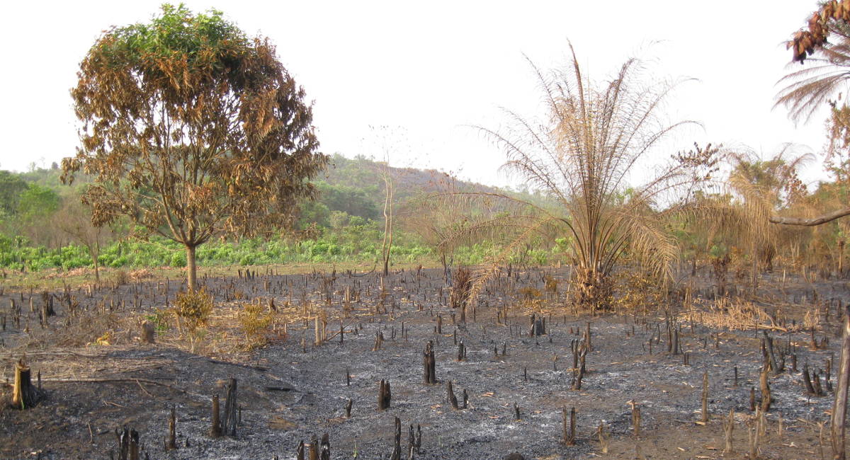 Zimbabwe's farmers feel the heat of fires - and of price hikes ...