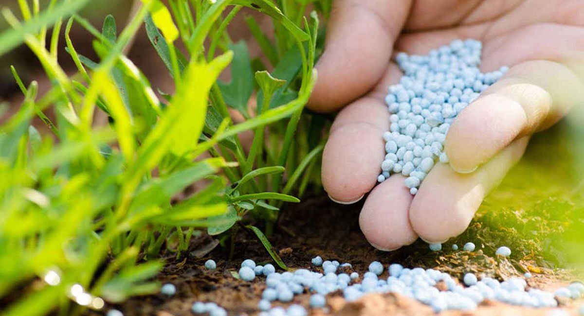 Global fertiliser prices projected to end 2025 up 21% | African ...