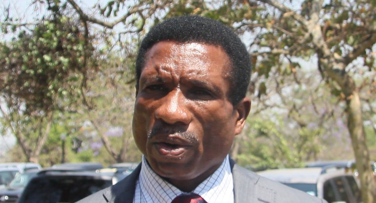 Zambia government lifts ban on mealie meal exports | African Agribusiness