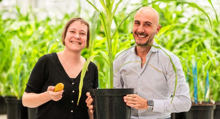 Rainbow Crops awarded US$7 million grant to advance climate-resilient ...